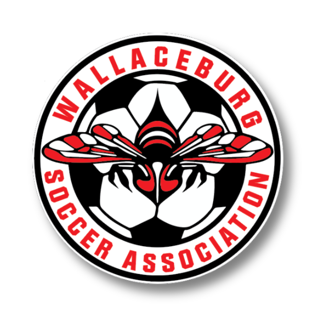 Sticker – Source Teamworks