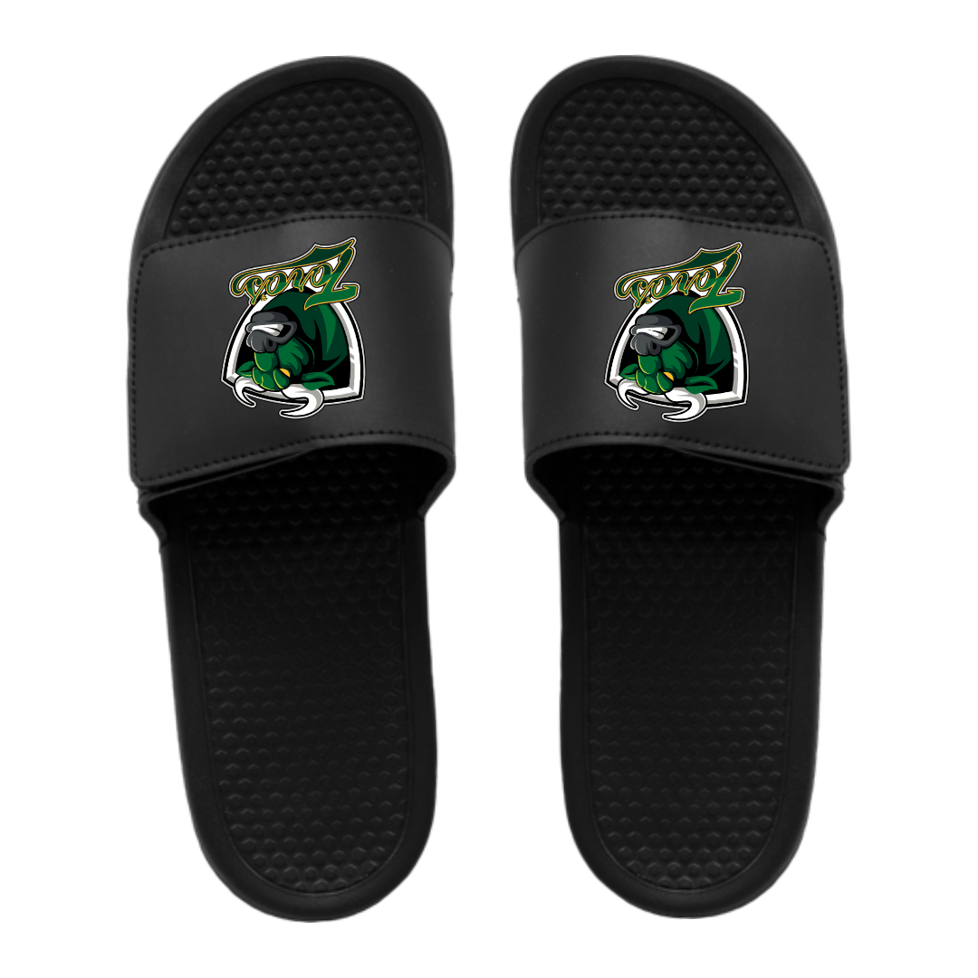 Champion Slides – Source Teamworks