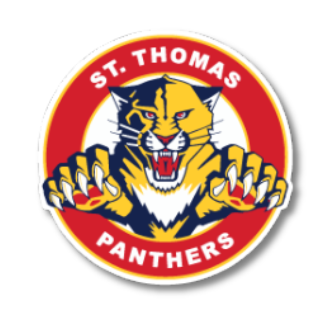 Panthers Sticker – Source Teamworks