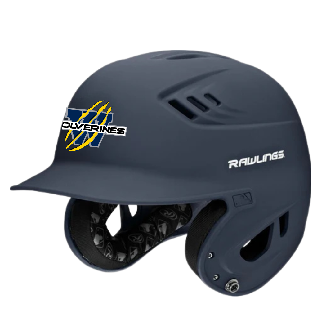 Batting Helmet – Source Teamworks