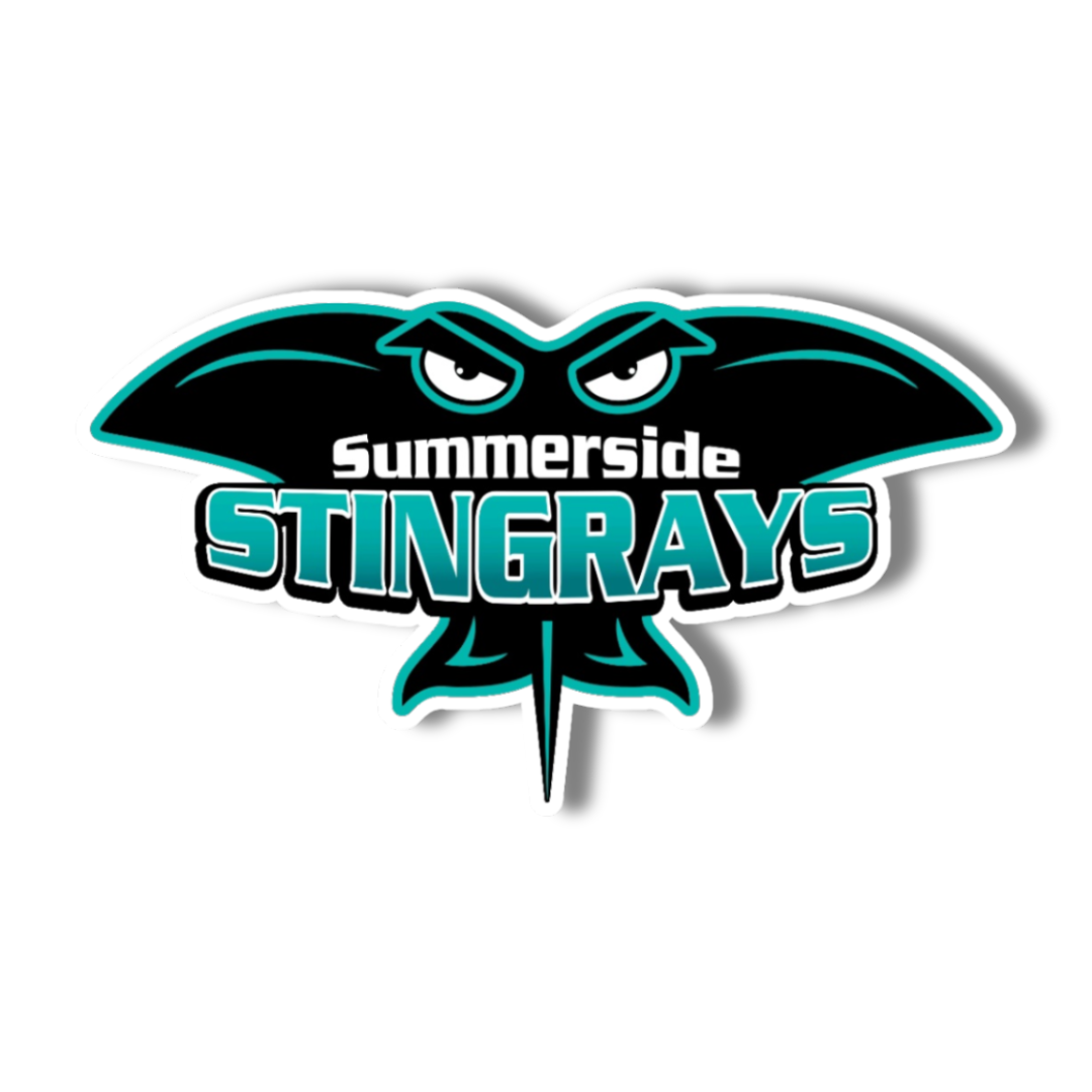 Sticker – Source Teamworks